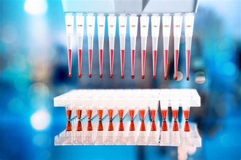 High Cell Viability And Growth Characteristics Of A Successful