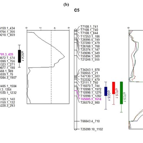 Quantitative Trait Loci Qtls Associated With Sugar Content On Download Scientific Diagram