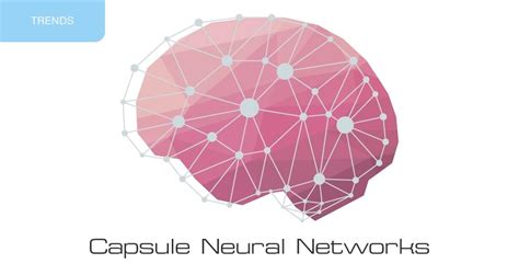 Capsule Neural Networks