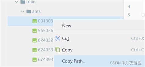 Pytorch学习（二）—— Dataset类pytorch中的dataset路径怎么弄 Csdn博客