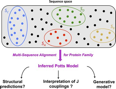 From Lattice Protein Sequence Space To Inferred Potts Model Protein Download Scientific