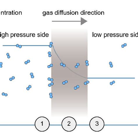 A Illustration Of Polymer Chain Arrangement In Amorphous And