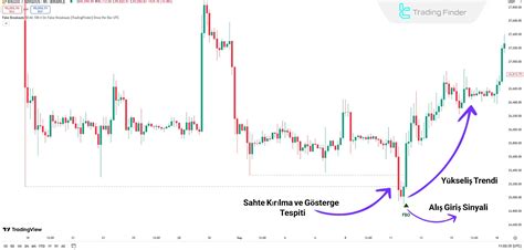 False Breakouts Göstergesi Tradingview Ücretsiz