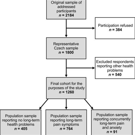 Conceptual Representation Of The Conditional Process Model Ie Download Scientific Diagram