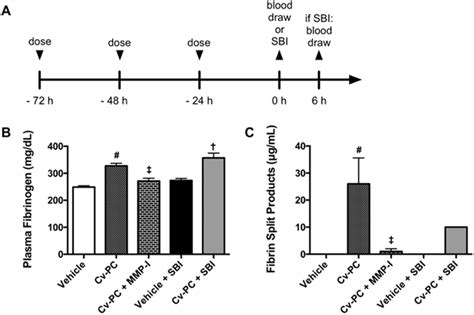 Cv Pc Increases Plasma Fibrinogen And Generates Fibrin Split Products