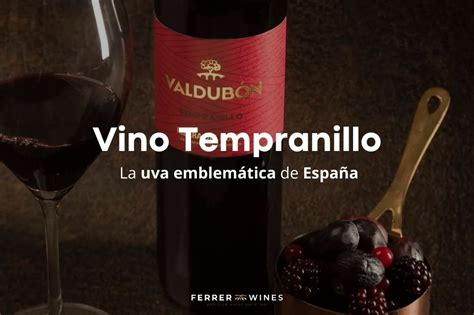 Los Secretos Del Vino Tempranillo La Uva Emblemática De España Ferrer Wines