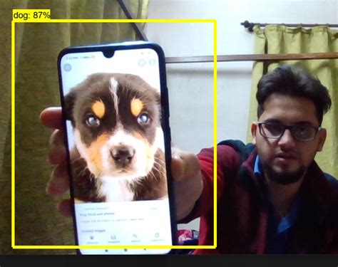 Github Cmdtausifanimal Detection Using Tensorflow Object Detection Api Various Animal
