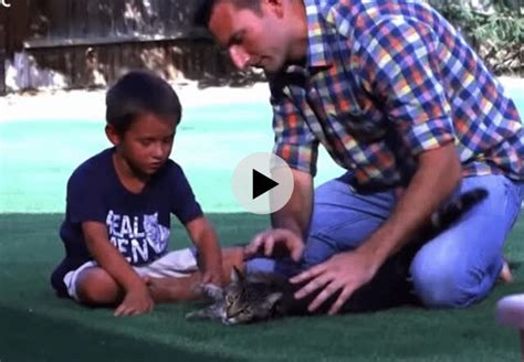 히어로 강아지상을 최초로 수상한 고양이 유머움짤이슈 에펨코리아