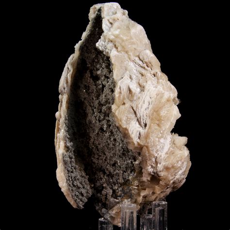 Mineral Specimen For Sale Calcite In Mercenaria Shell