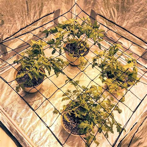 elastic trellis netting flexible net trellis garde grandado