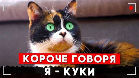 КОРОЧЕ ГОВОРЯ Я КУКИ КОТ ИЗ СЛИВКИ ШОУ От первого лица Youtube