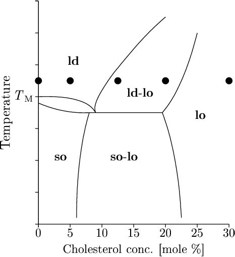 Figure 1 From Coarse Grained Model For Phospholipid Cholesterol Bilayer Semantic Scholar