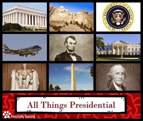 Congratulations Emily Inspired Owls Corner