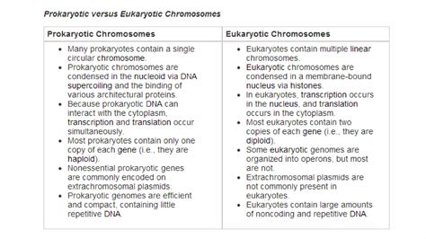 Prokayotes And Eukaryotes Ppt