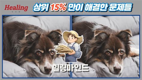 틀린그림찾기힐링사진 즐겁고 건강한 하루를 위한 집중력 시간 다른그림찾기 And 두뇌운동 Youtube