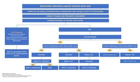 CUA 2018 Metastatic Castration Resistant Prostate Cancer Treatment Algorithm A Shifting Paradigm
