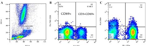 A Lymphocyte Gates In The Total Cell Population To Reach Cd3 Cells Download Scientific