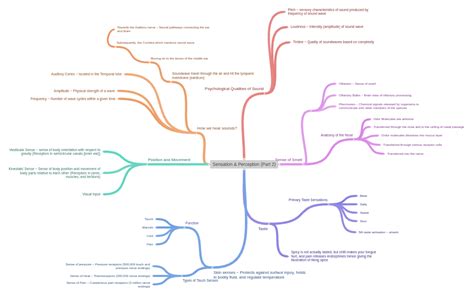 Sensation And Perception Part 2 Coggle Diagram Sensation And Perception Part 2 Coggle Diagram