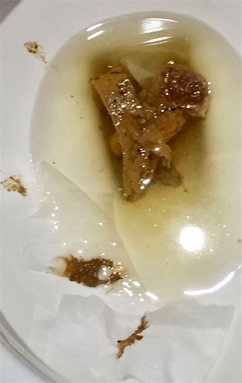 Solid Log Dump