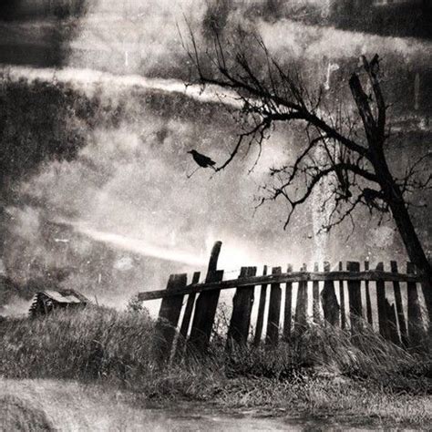 Glowing Fine Art Photography By Cristina Venedict