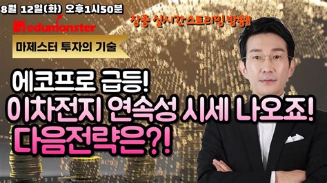 에코프로 급등 이차전지 연속성 시세 다음전략 Youtube