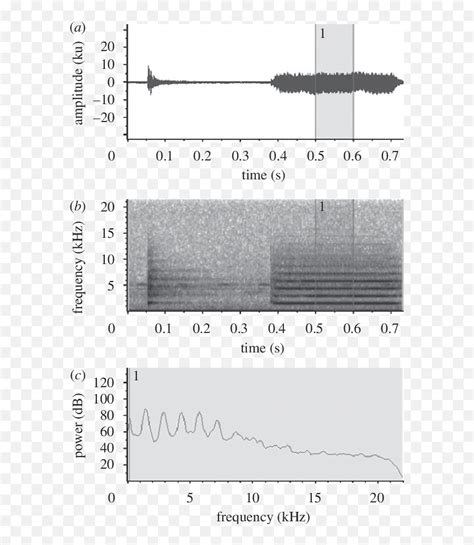 Waveform B Spectrogram And C Power Spectrum Of Full Power Spectrum Vs Spectrogram Png Waveform
