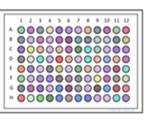 Human SgRNA Libraries GeneCopoeia