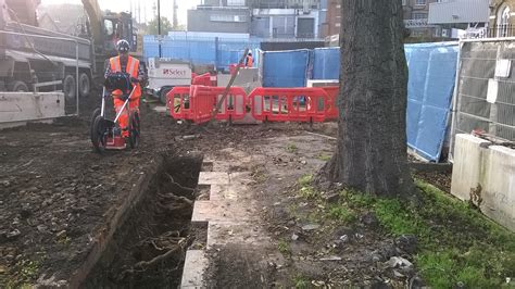 Protected Tree Root Survey Best Practice Hub