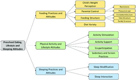 Conceptual Framework Of Constructs And Dimensions In The Prelsa Scale