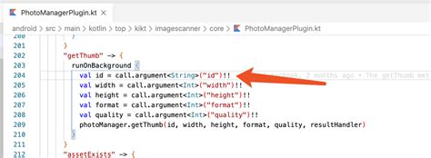 [bug]kotlin kotlinnullpointerexception · issue 270 · fluttercandies