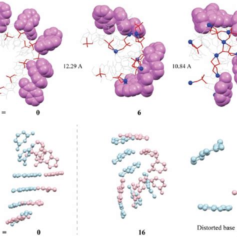 Side By Side Comparison Of Rna Duplex 47 Modeled With The Functional