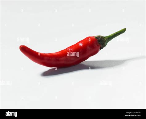 Chili Padi Image At Stephanie Watt Blog