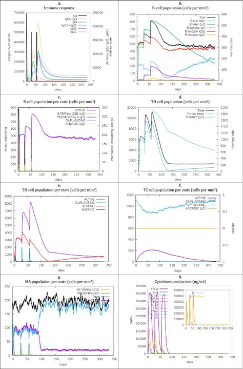 C Immsim Computational In Silico Immune Simulation Using The Download Scientific Diagram