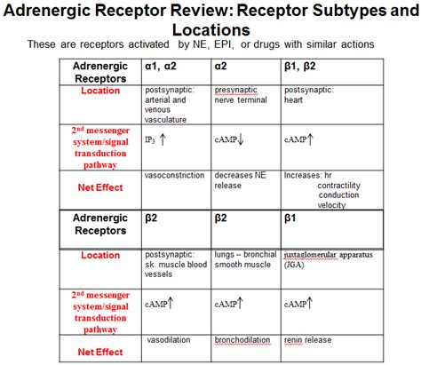 Medskul Adrenergic Receptors And Function