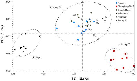 genetic variability evaluation and cultivar identification of