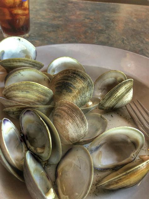Cherry Clams Photograph By William E Rogers Fine Art America