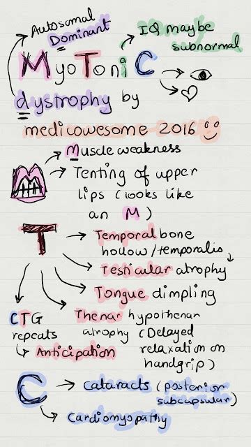 Medicowesome Myotonic Dystrophy Notes And Mnemonic