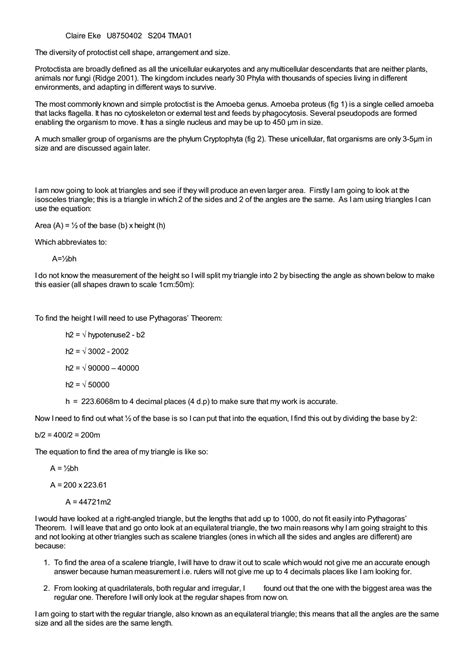 Solution The Diversity Of Protoctist Cell Shape Arrangement And Size