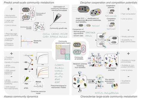 Community‐scale Models Of Microbiomes Articulating Metabolic Modelling And Metagenome