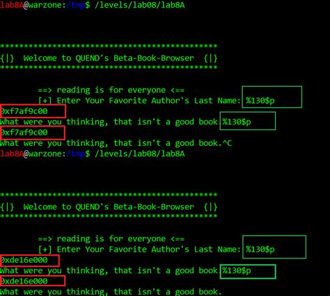 stack canary rop format string leak plus how i learned that nullbyte