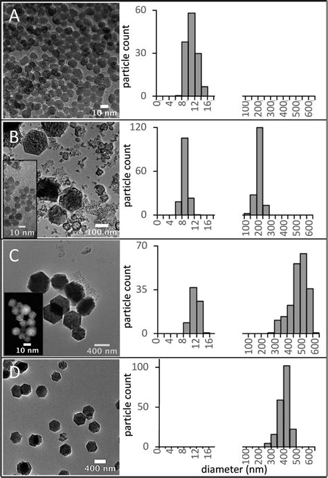 Evolution Of Ucnp Formation Over Time For S91 67 Ucnps Left Bright