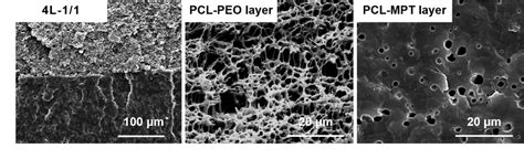 Figure 1 From The Effect Of Layer Thickness Ratio On The Drug Release