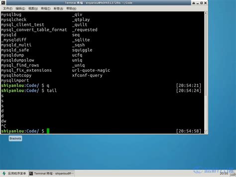 基本概念及操作 蓝桥云课