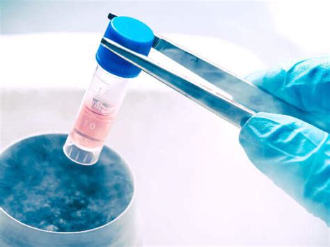 Flow Cytometry Basics Beckman Coulter Life Sciences