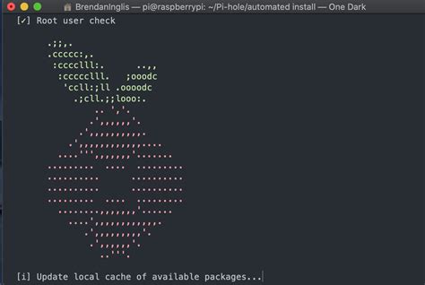 Raspberry Pi Exploration BJI Design Portfolio