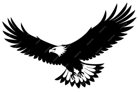 Eagle Silhouette Bald Eagle Silhouette Isolated Vector Illustration