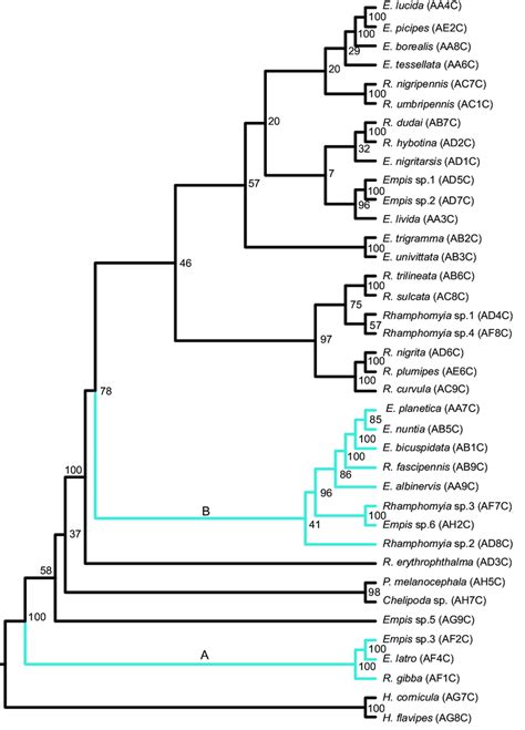 Maximum Likelihood Tree Of Partitioned Uce Data Of 70 Completeness