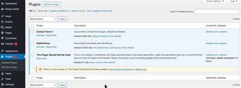 A Deep Dive Into WordPress Automatic Updates