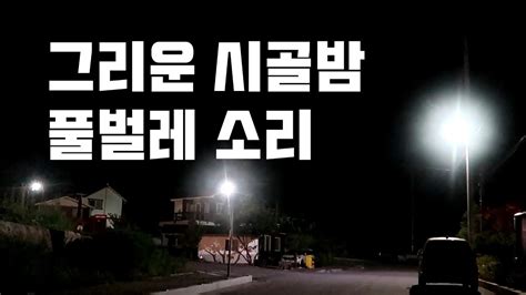 그립고 그리운 시골밤 풀벌레 소리 Youtube