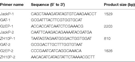 dideoxy chain termination dna sequencing semantic scholar